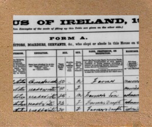 Census 1901 & 1911 – Tipperary Studies